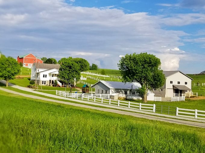 Rolling hills and white fences frame the perfect pastoral scene in Walnut Creek, where farm life continues much as it has for generations.