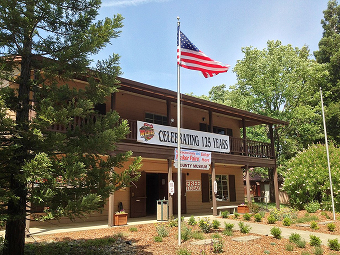 History never looked so good for its age! This 125-year-old beauty has stories to tell that would make Jeopardy champions jealous.