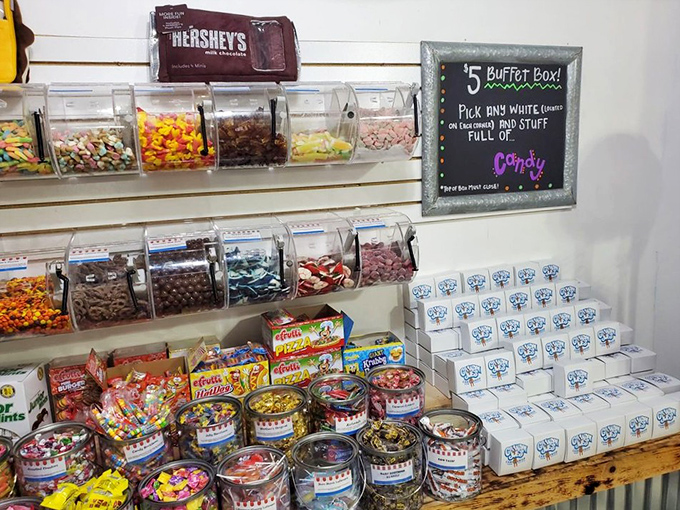 The buffet system is genius in its simplicity: pick a container, fill with happiness, pay five dollars, question why all of life's decisions aren't this straightforward.