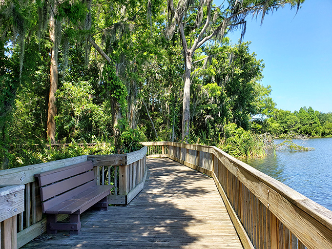 Nature trails wind alongside tranquil waters, offering a peaceful counterpoint to the bustling sponge docks – Florida's natural beauty on full display.