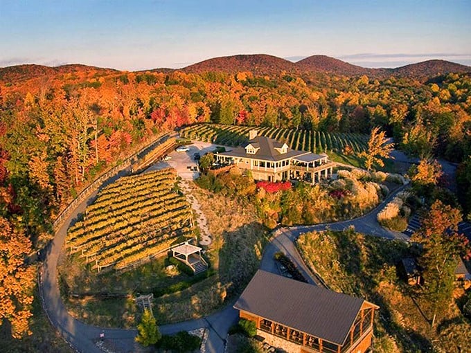 Autumn transforms Dahlonega's vineyards into a painter's palette of crimson and gold, proving wine country isn't just for California anymore.