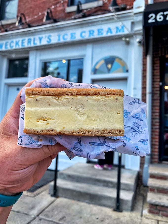 The perfect ice cream sandwich doesn't exi&mdash; Oh wait, there it is! Golden cookies embracing vanilla ice cream like old friends reuniting.
