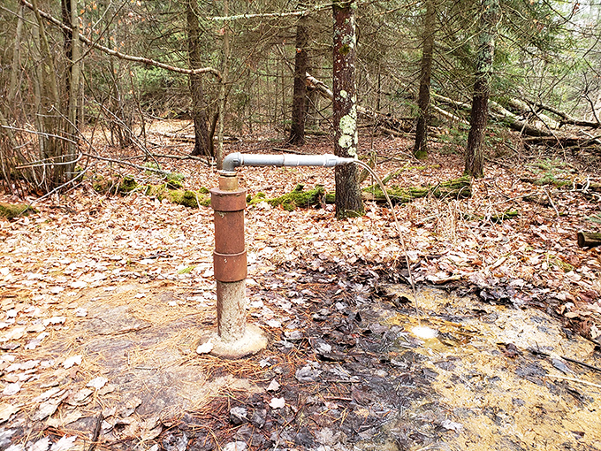 This humble artesian well might not look Instagram-worthy, but after a dusty hike, it's more precious than the fanciest resort fountain.