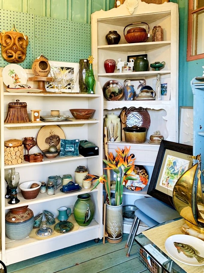 Mid-century pottery that screams "I belonged in a 1960s beach house!" The turquoise shelving adds that perfect retro California vibe.