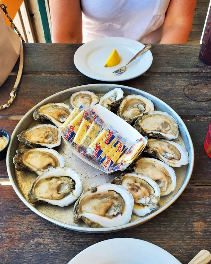 Fresh oysters on the half shell – nature's perfect appetizer. Just add a squeeze of lemon and prepare for that briny kiss of the sea.