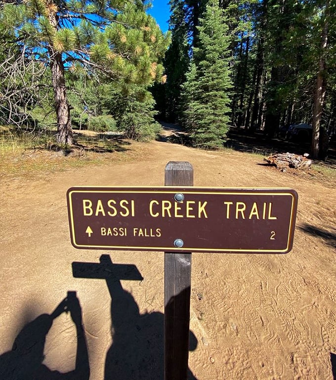 The sign that promises adventure! Two miles might as well be two steps when the reward is a 109-foot waterfall that doesn't require a password or subscription.
