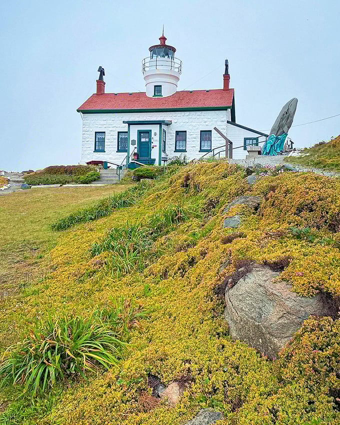 Approaching the lighthouse feels like walking into a watercolor painting&mdash;wildflowers, weathered stone, and that iconic silhouette against the sky.