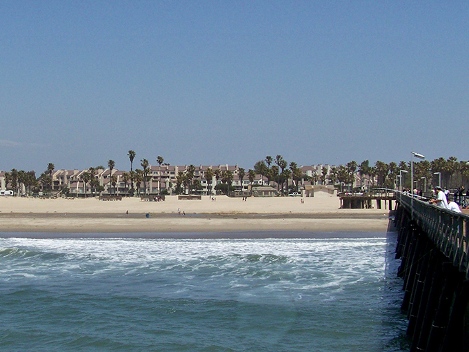 Beach real estate without the Beverly Hills price tag. The wide, golden shoreline meets gentle waves while palm trees stand guard like nature's own welcoming committee.
