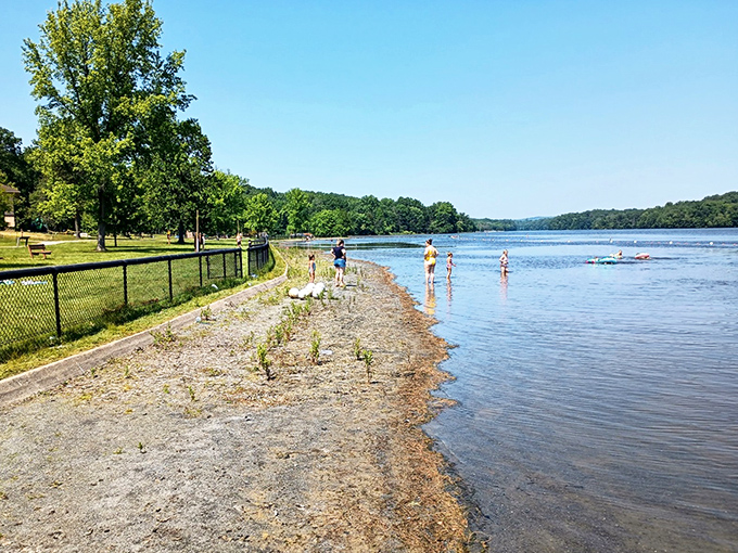 Nature's version of a beach resort, minus the overpriced cocktails. The sandy shores of Pinchot Lake welcome water-lovers of all swimming abilities.