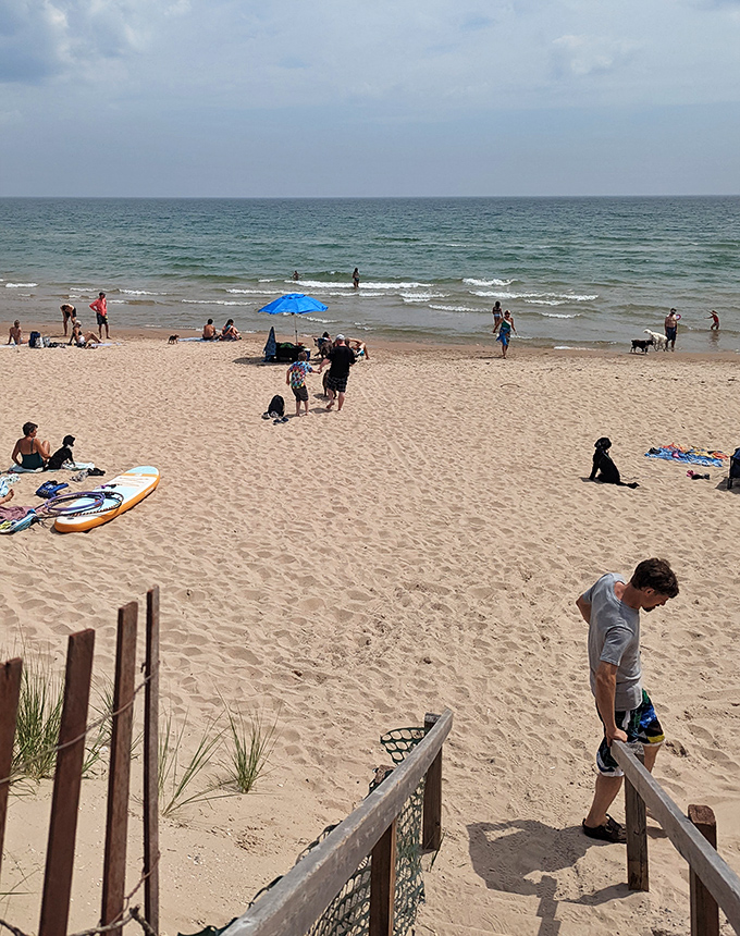 Summer in Wisconsin means trading office chairs for beach blankets and spreadsheets for sandcastles—the ultimate work-life upgrade.