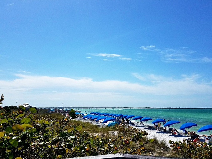 Honeymoon Island's beaches offer that rare combination &ndash; pristine white sand, crystal waters, and somehow, miraculously, enough blue umbrellas for everyone.