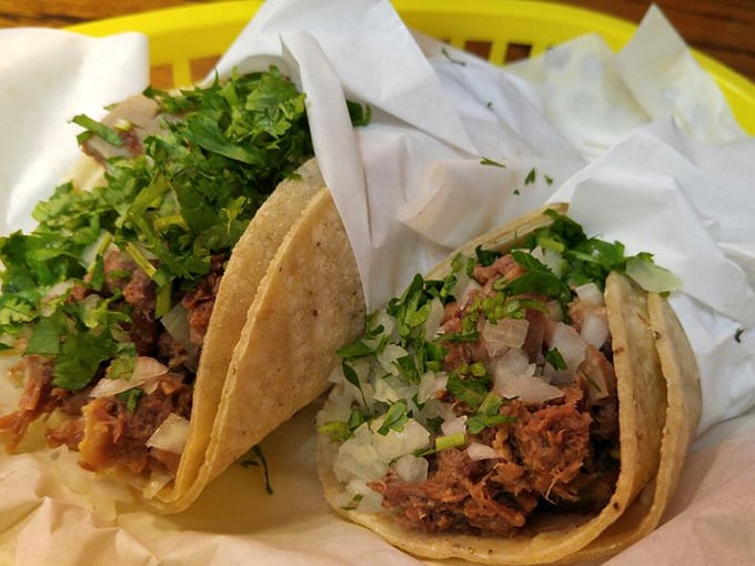 Traditional soft tacos topped with fresh cilantro and onions showcase authentic Mexican street food artistry.