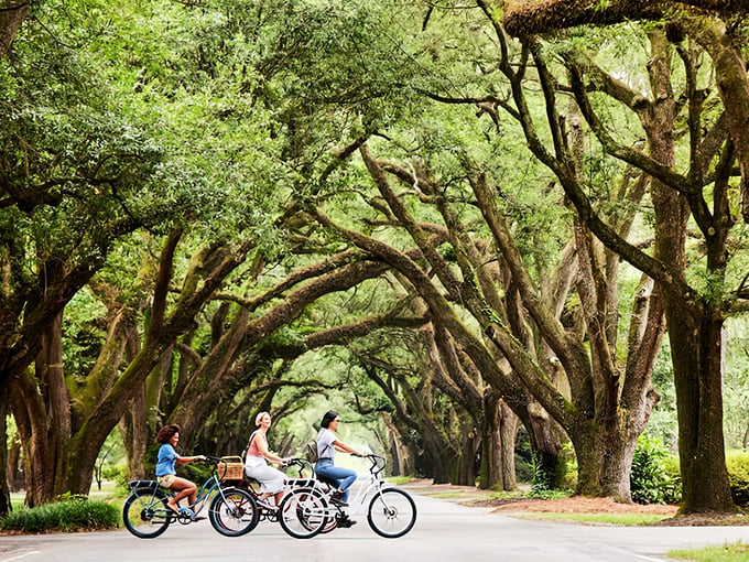 South Carolina's version of the Tour de France involves magnificent oak canopies, leisurely pace, and absolutely zero mountain stages.