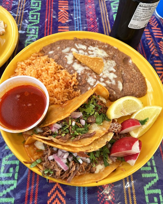 Birria tacos: where crispy meets tender, where savory meets tangy, and where your diet meets its temporary but worthwhile demise.
