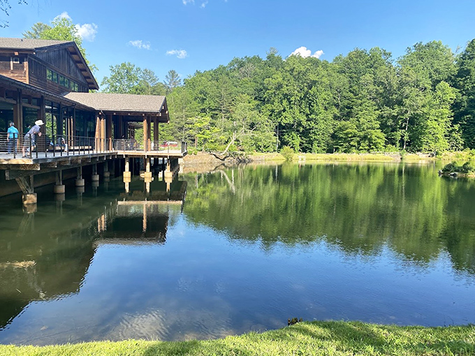 Serenity meets architecture at this lakeside pavilion, where the still waters perfectly mirror the surrounding greenery in nature's own Instagram filter.