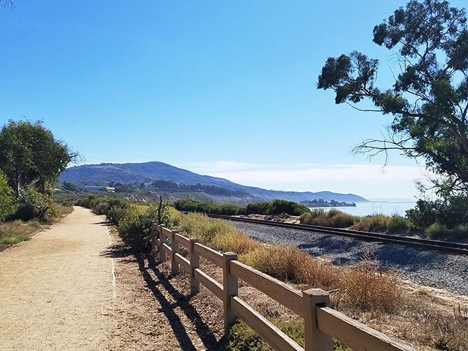 A trail running alongside railroad tracks with ocean views? Only in California could commuter infrastructure double as a scenic overlook.
