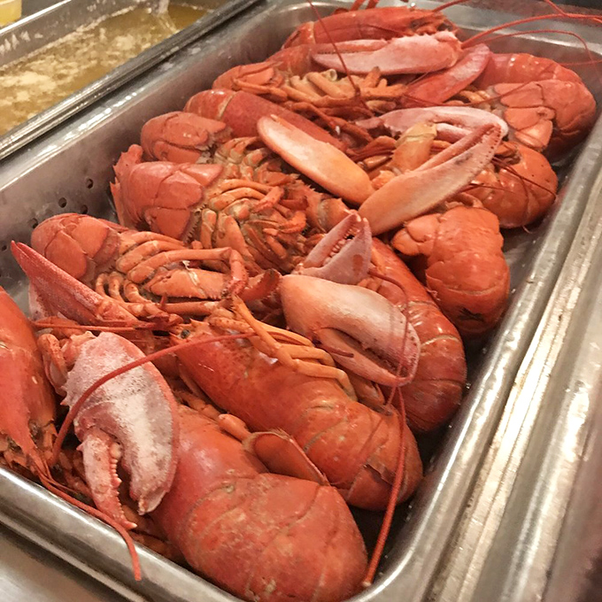 The boiled lobster lineup looks like a delicious red carpet event—each crustacean a gleaming, star-worthy showstopper.