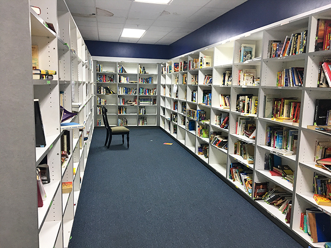 The book section: where literary classics and forgotten bestsellers mingle like guests at the world's most democratic cocktail party.