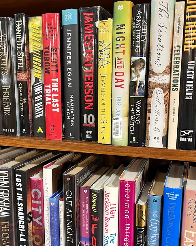 Literary treasures waiting patiently, like old friends ready to share their stories again.