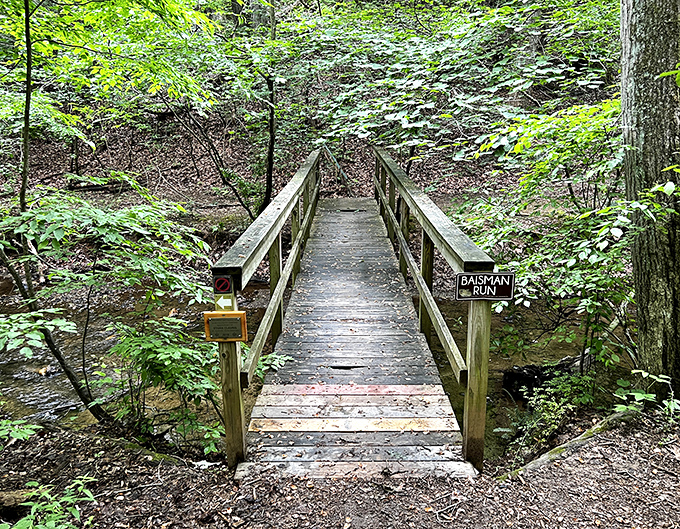 Crossing this charming footbridge feels like stepping into a storybook. Bateman Run awaits explorers on the other side.