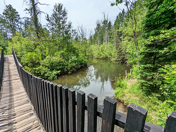 Not all who wander are lost, but this wooden bridge certainly helps keep it that way. Nature's perfect pathway.