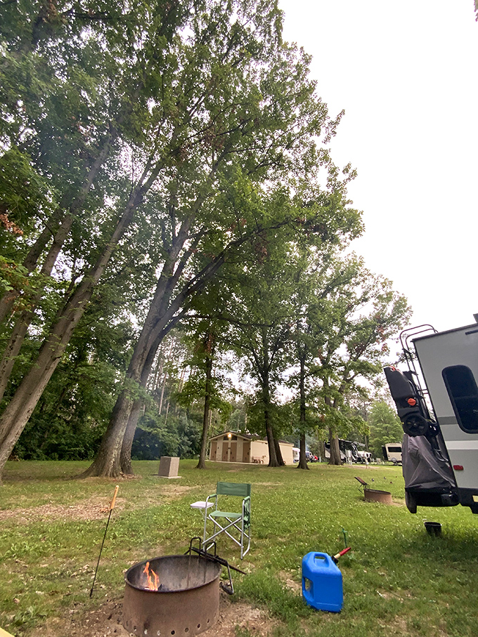 Camping nirvana: Where tall trees provide shade, fire pits await s'mores, and no one asks you to check your email.