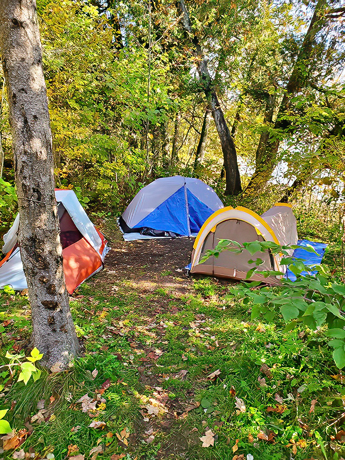 Camping at Newport isn't glamping&mdash;it's better. These secluded sites offer something priceless: absolute tranquility among autumn leaves.