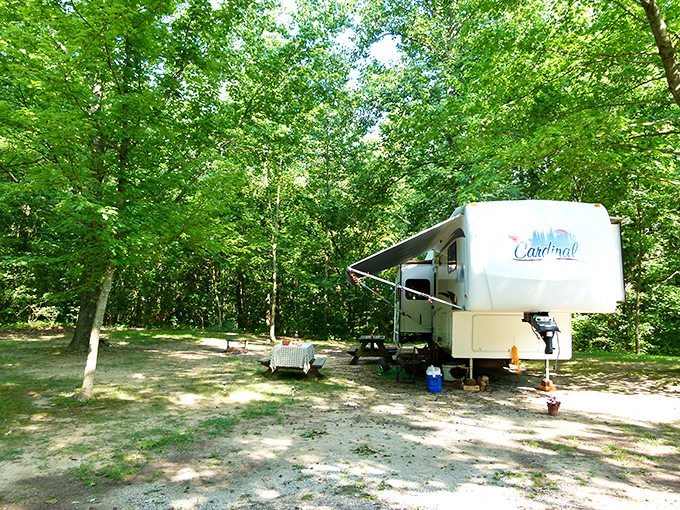 RV camping at Harmonie offers the perfect blend of wilderness and comfort. Nature with a side of air conditioning.