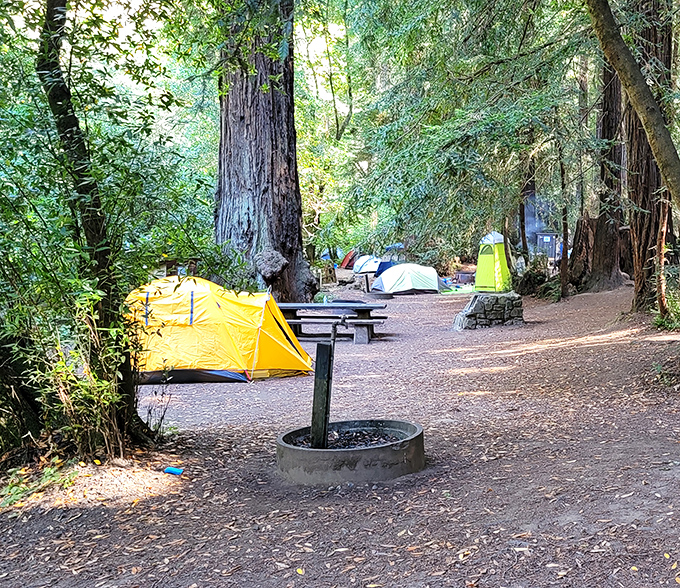 Camping among the redwoods&mdash;where your tent looks like a colorful mushroom sprouting beneath trees older than most countries' constitutions.