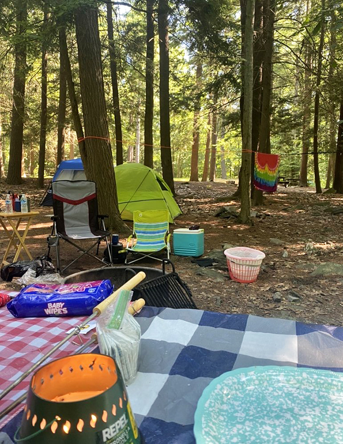 Camping essentials: tent, chairs, and the willingness to pretend those night sounds are definitely not bears. The tie-dye hammock adds a touch of Woodstock to the wilderness.