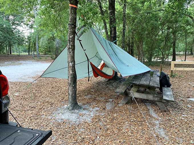 Camping gets an upgrade when your tent sits beneath a cathedral of trees. Who needs five stars when you've got a million overhead?