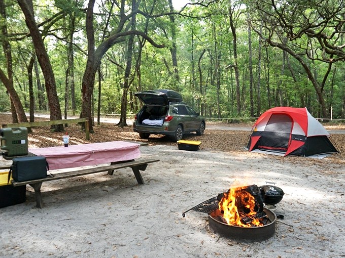 Camping nirvana: where s'mores by firelight and morning coffee with birdsong create memories stronger than any hotel minibar.