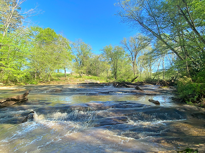Carter Falls creates nature's perfect soundtrack&mdash;rushing water tumbling over ancient rocks, a melody that's been playing long before we arrived to appreciate it.