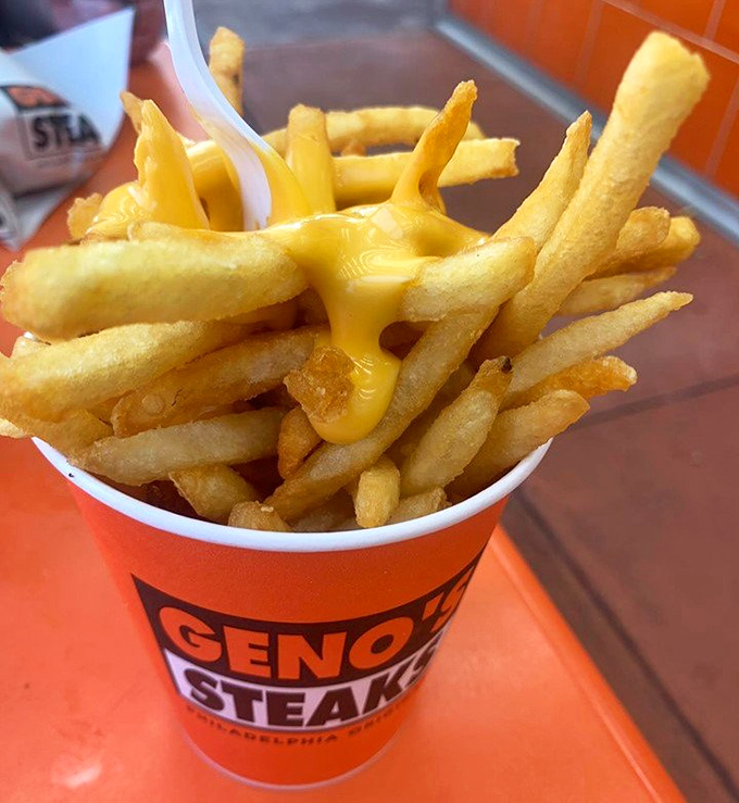 Cheese fries: where golden potato meets molten cheese in a union so perfect it should have its own national holiday.