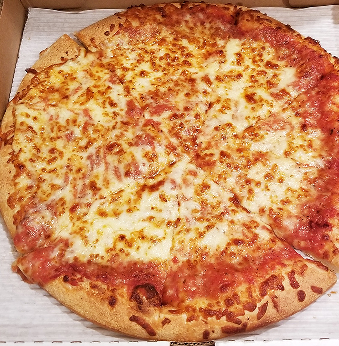 The classic cheese pizza—proof that simplicity, when executed flawlessly, needs no embellishment. That golden-brown crust is practically begging to be folded.