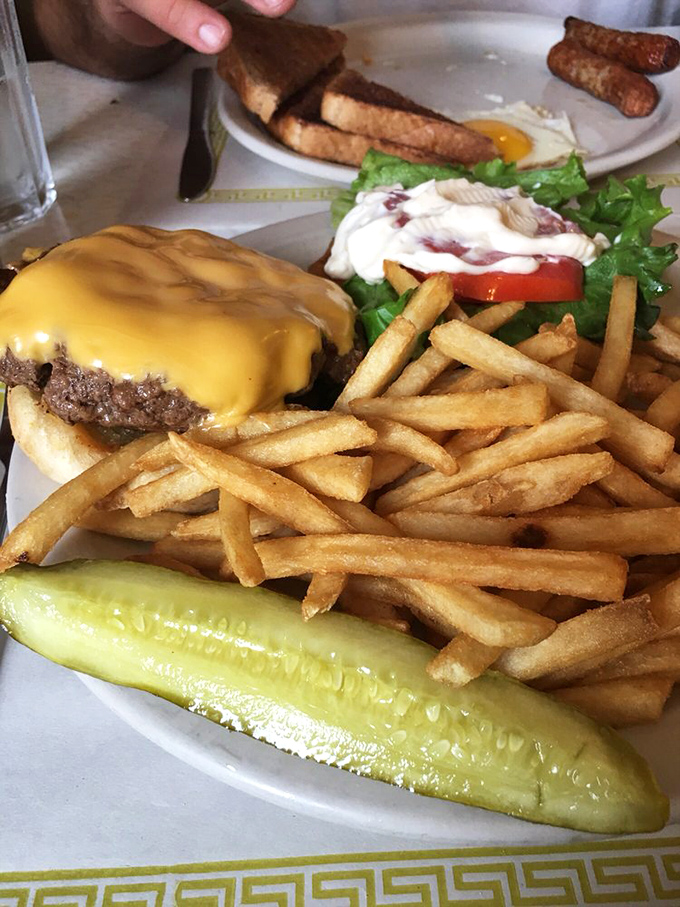 The cheeseburger test &ndash; passed with flying colors. That pickle spear stands guard like the Washington Monument of lunch, overlooking a golden sea of fries.