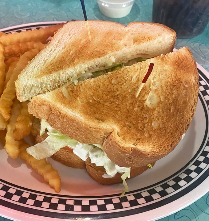 This sandwich isn't just toasted—it's been given a golden tan worthy of a Florida retirement. Crisp, substantial, and ready for its close-up.