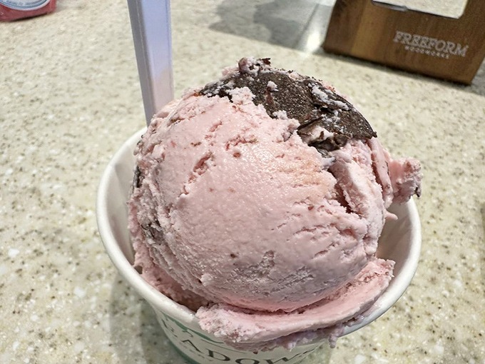 Pink perfection in a cup. This strawberry-chocolate scoop has the kind of contrast that makes taste buds stand up and applaud.