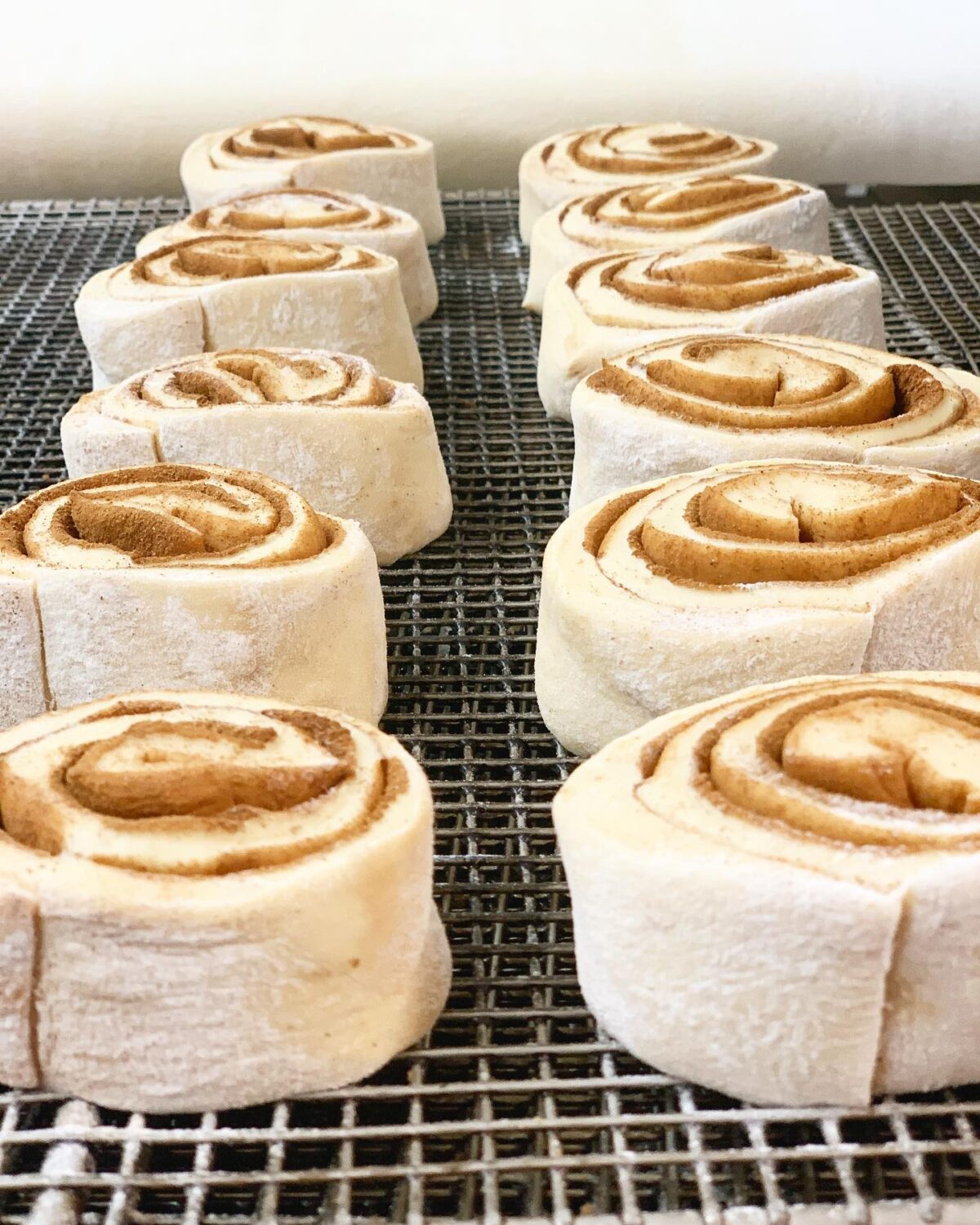 Cinnamon rolls lined up like delicious soldiers, ready to march straight into your heart (and arteries). Worth every delicious spiral.