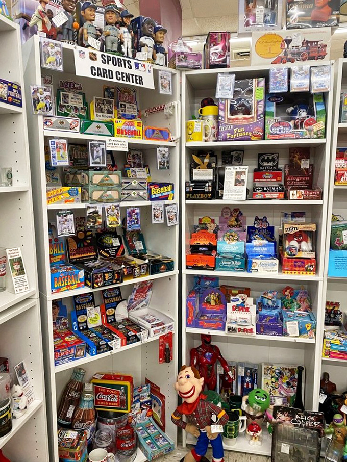 The Sports Card Center: where childhood heroes are preserved in mint condition and baseball dreams never strike out.