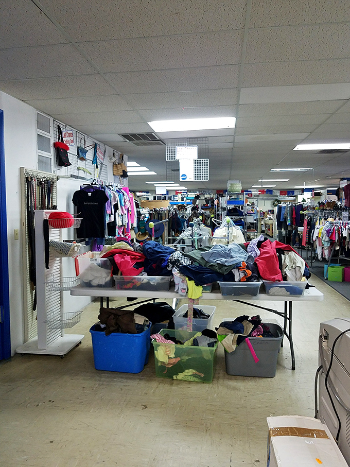 The clothing section: where patience and persistence pay off. Someone else's fashion mistake could become your signature look for less than lunch money.