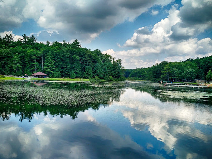 Cloud reflections transform the lake into nature's mirror. On days like this, even the sky wants to go swimming.