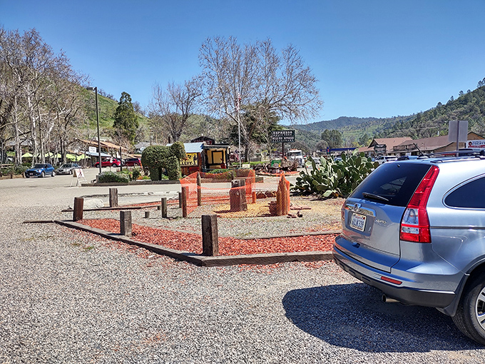 Rolling hills dotted with oak trees and rustic homes &ndash; like a California version of Tuscany, just with more pickup trucks and fewer Vespas. 