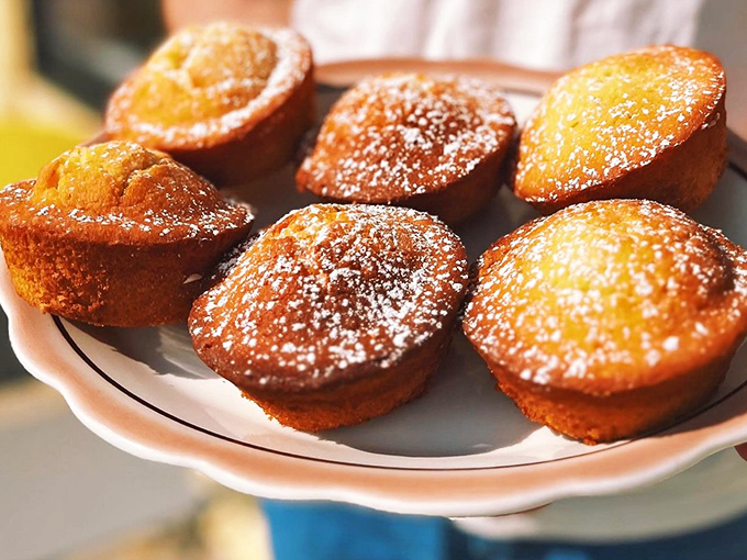 These coconut lime ricotta muffins look like they're wearing little powdered sugar hats for a fancy party your taste buds are invited to attend.