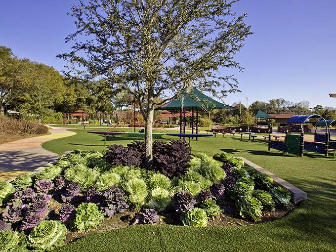 Common Ground Playground: where kids burn energy and parents contemplate their life choices peacefully.