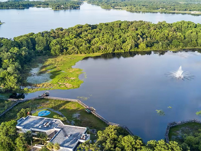 Nature and civilization find perfect harmony at Cooter Pond, where turtles (the namesake "cooters") have front-row seats to human activities.