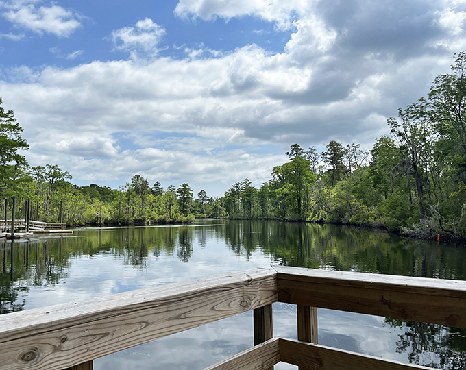 Reflections on still waters at one of New Bern's peaceful parks. Mother Nature showing off her mirror selfie skills without needing a single filter.