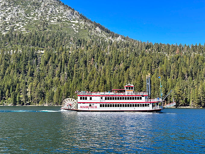The M.S. Dixie II paddlewheeler cruises through Emerald Bay like a time machine, offering floating front-row seats to Sierra Nevada grandeur.