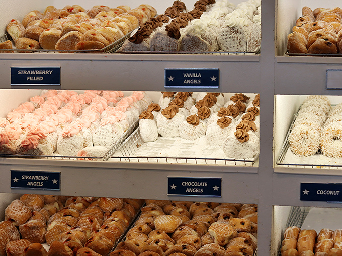 Donut heaven awaits behind glass&mdash;strawberry angels, chocolate temptations, and coconut dreams all vying for your attention. Resistance is futile.