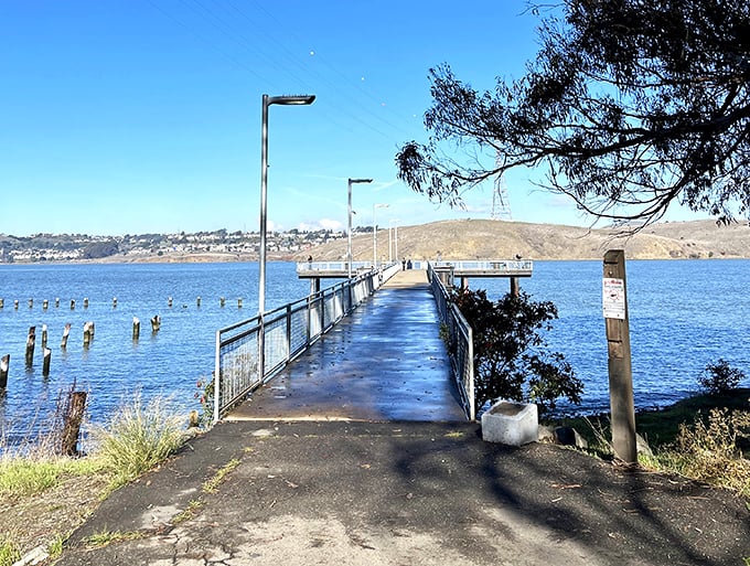 This unassuming pier stretches into the Carquinez Strait like a runway to tranquility, inviting fishermen and daydreamers alike.